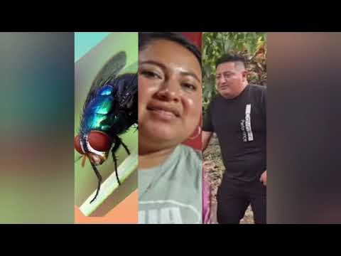 Wįld3r le dîj0 a la Noh3 que quier3 v3r a claudia para que le dįg@ porque lo c3l@ si nį la ...