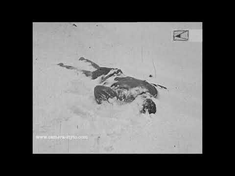 The Retreat from Moscow 1941/42   (to Stalingrad 2)