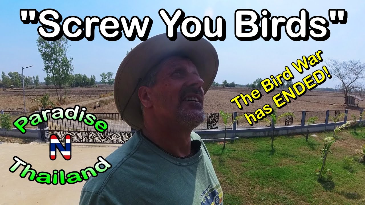 Screw You Birds - YouTube