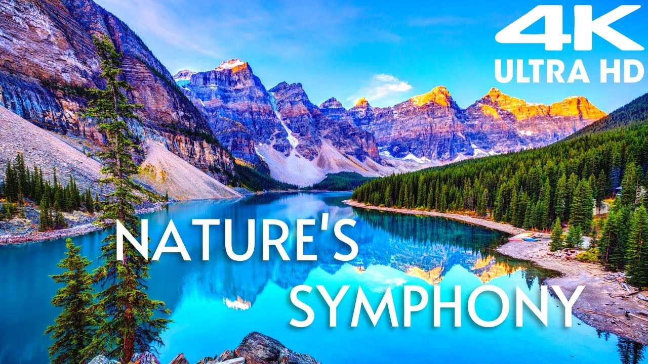 Nature's Symphony: Journey Through the Beautiful Nature [4K 60FPS ...