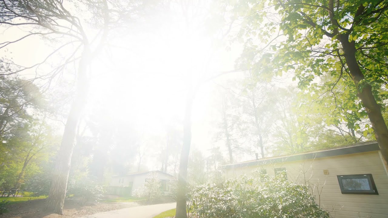 Roompot | Epe Bospark de Schaapskooi (Resort Video) - YouTube