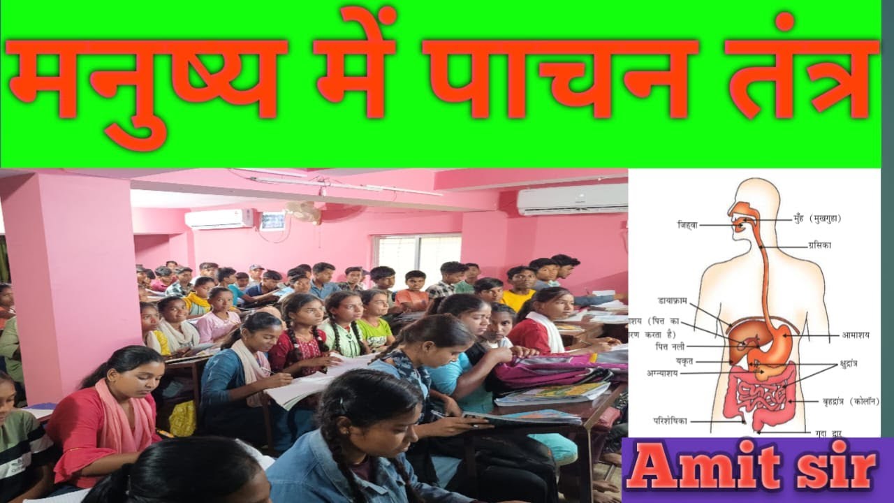 Nutrition in Human, science by amit sir , sai study point - YouTube