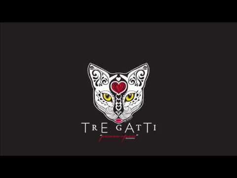 Tre gatti Premium Espresso (spot) - YouTube