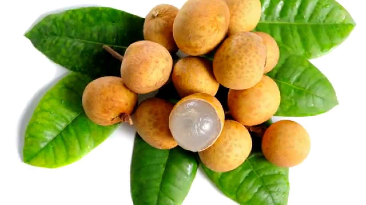 Delicious Secret : North Fruit - YouTube