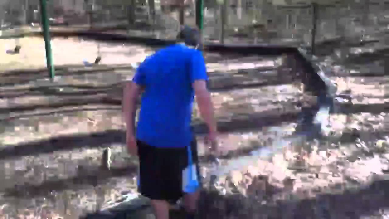 Random funny crap - YouTube