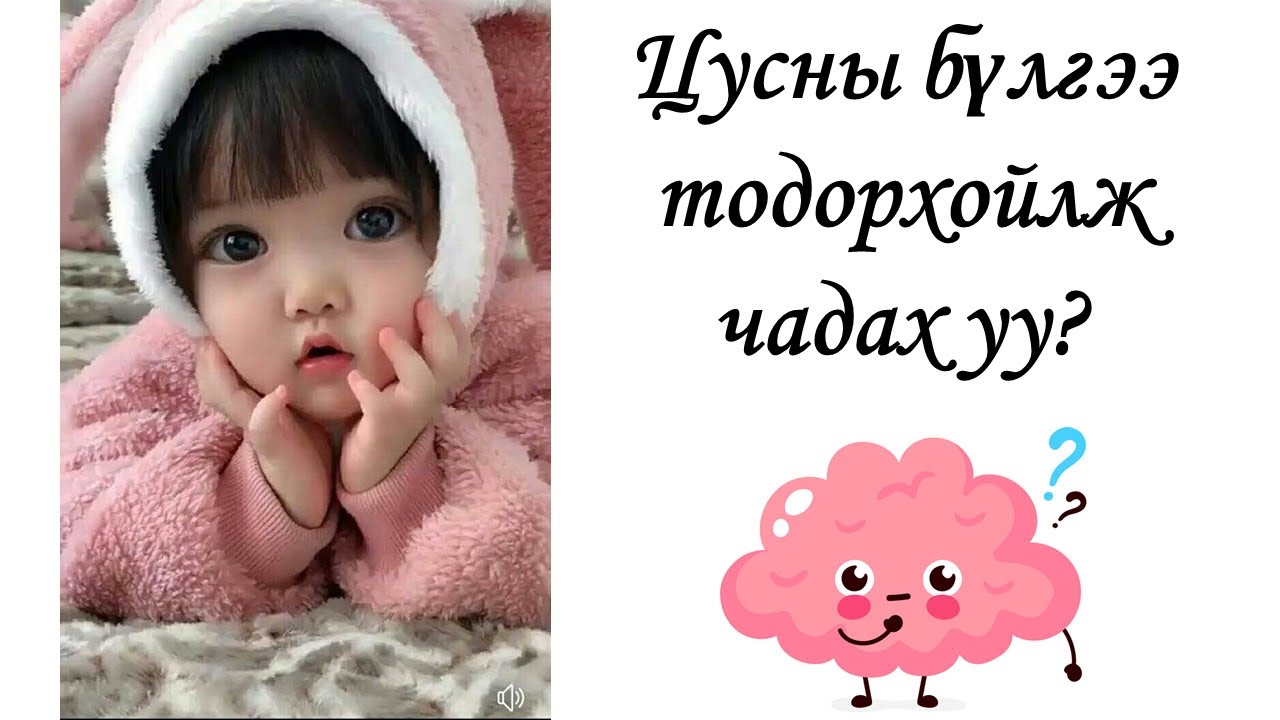 Цусны бүлэг ба түүний бодлогууд цус сэлбэх дүрэм Youtube