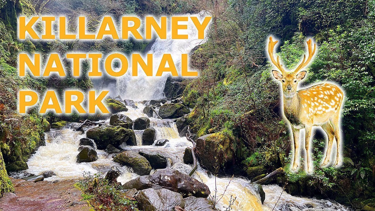 Killarney National Park. Torc Waterfall. Mucross House. Ross Castle. 31 ...