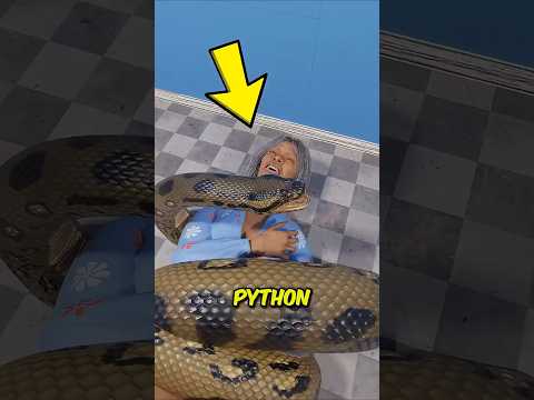This Python Attack Lasted 2 Hours 😱🐍