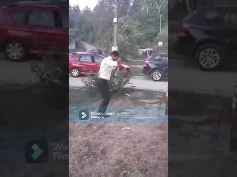 Kopanarski kuchek Antonio Banderaz 2021