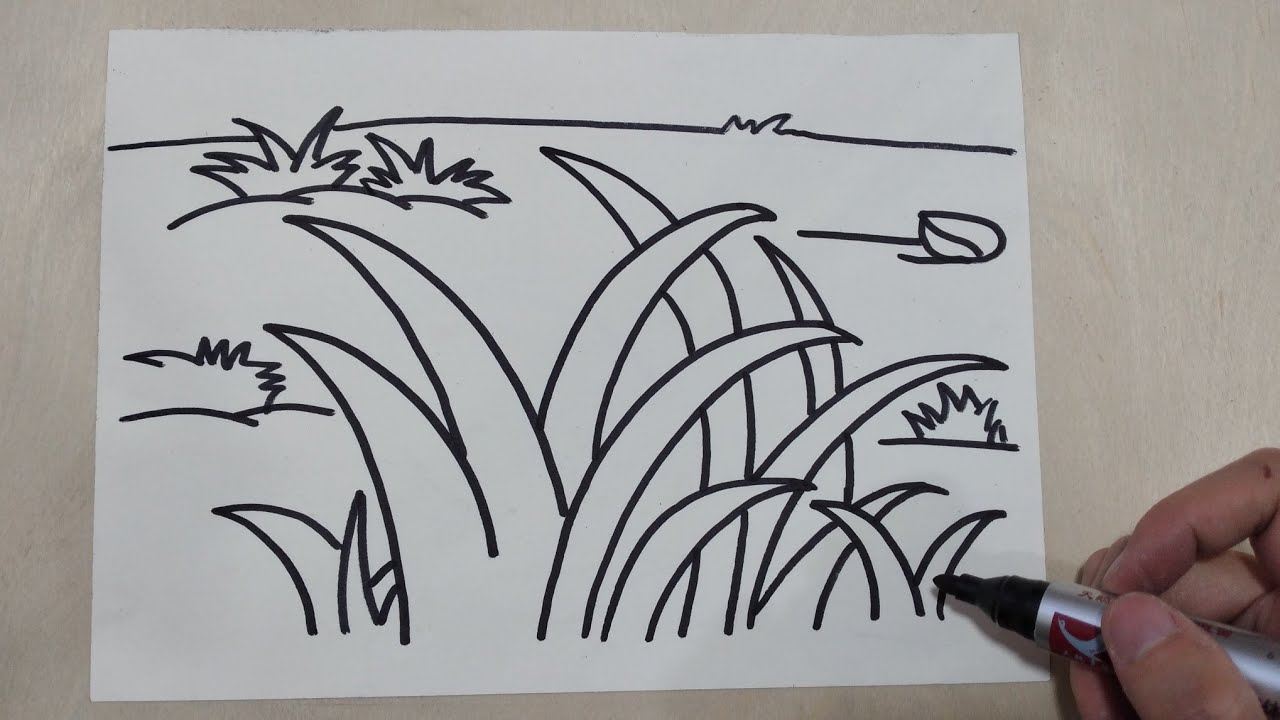 como dibujar arbustos/how to draw bushes - YouTube