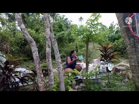 NASIRA KASI,DITO NALANG AKO/ ROSE KIKAY OFFICIAL