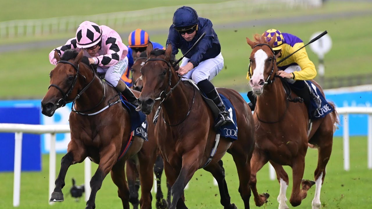 HENRI MATISSE retains unbeaten record with Futurity Stakes triumph ...