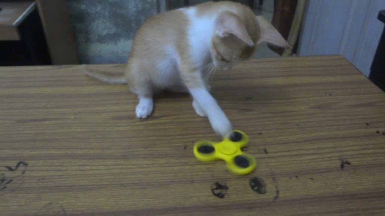 Charlie Plays with fidget spinner - YouTube
