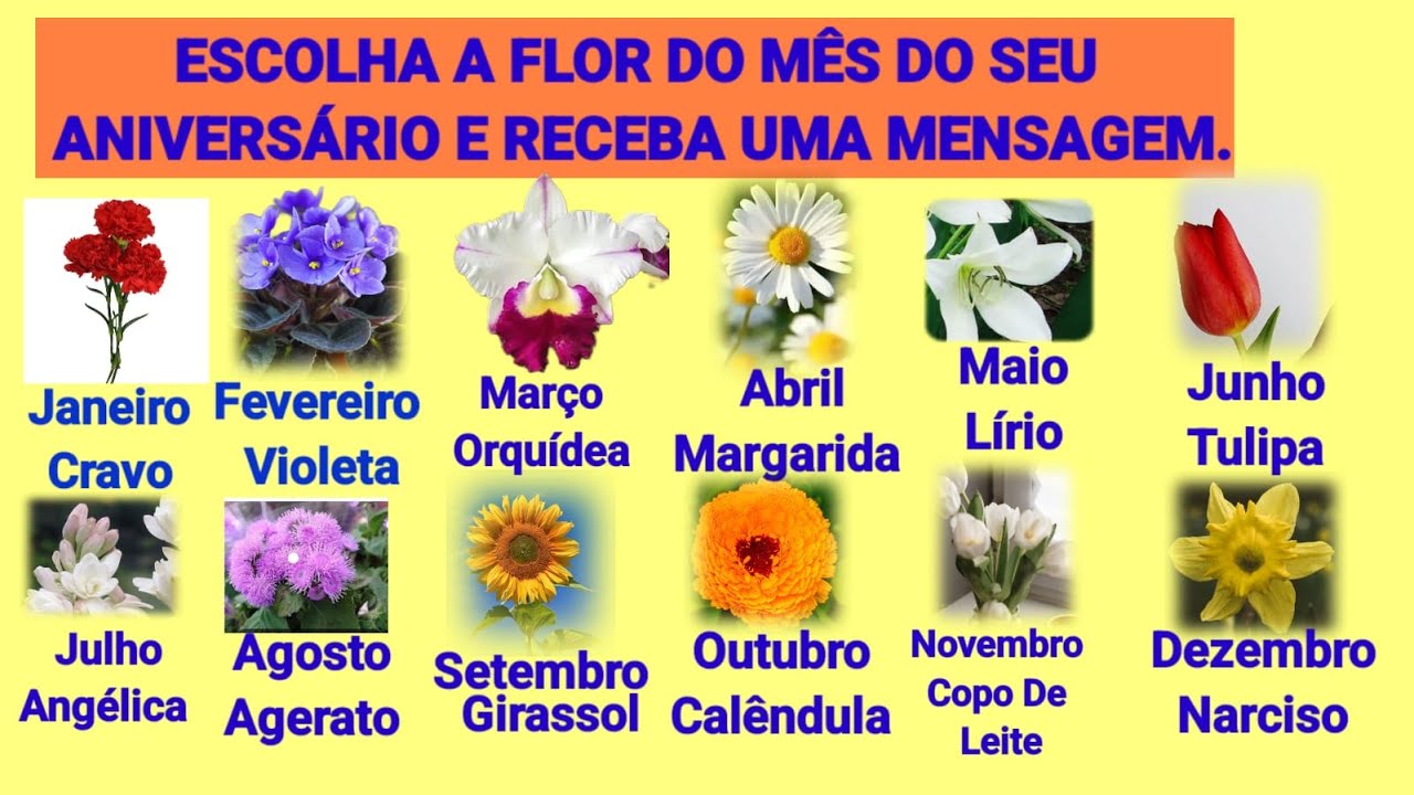 Escolha Uma Flor Do Mês Do Seu Aniversário e Receba Uma Mensagem. - YouTube