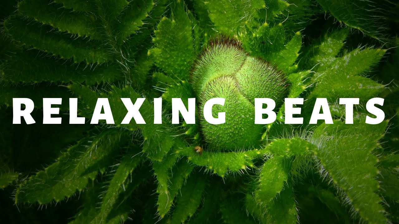 Relaxing Beats Downloadable Track Exciting Background Music - YouTube