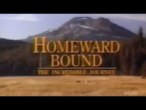 Homeward Bound The Incredible Journey commercial 1993