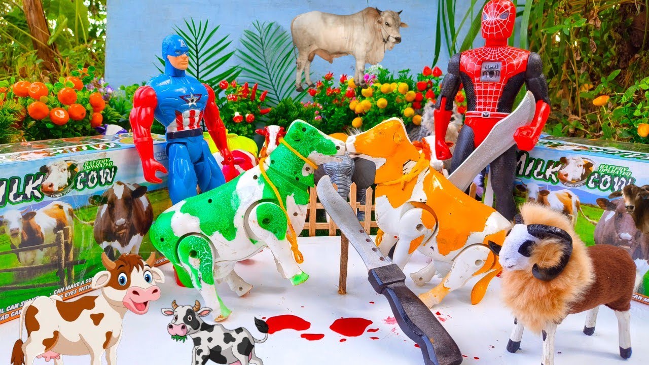 WADIDAU PROSES POTONG SAPI KURBAN SIMULASI SEMBELIH SAPI KURBAN AMAZING ...