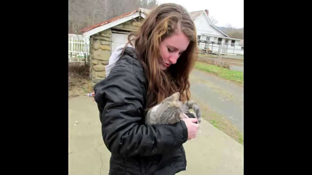 Gator Wesley Bios S3 E7 (Kaitlin Bailey) - YouTube