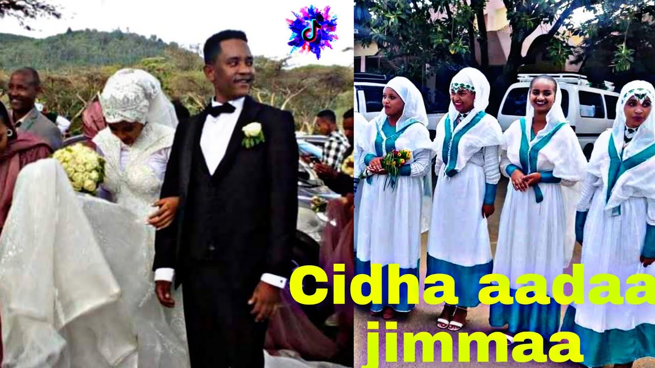 Sirba afaan oromoo haaraa 2023: Oromo music | Oromotiktok - YouTube