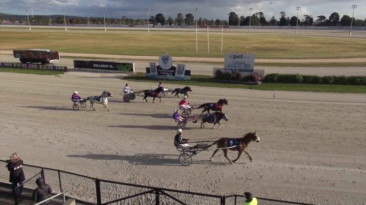 Pony Trots - 30 October 2016 - YouTube