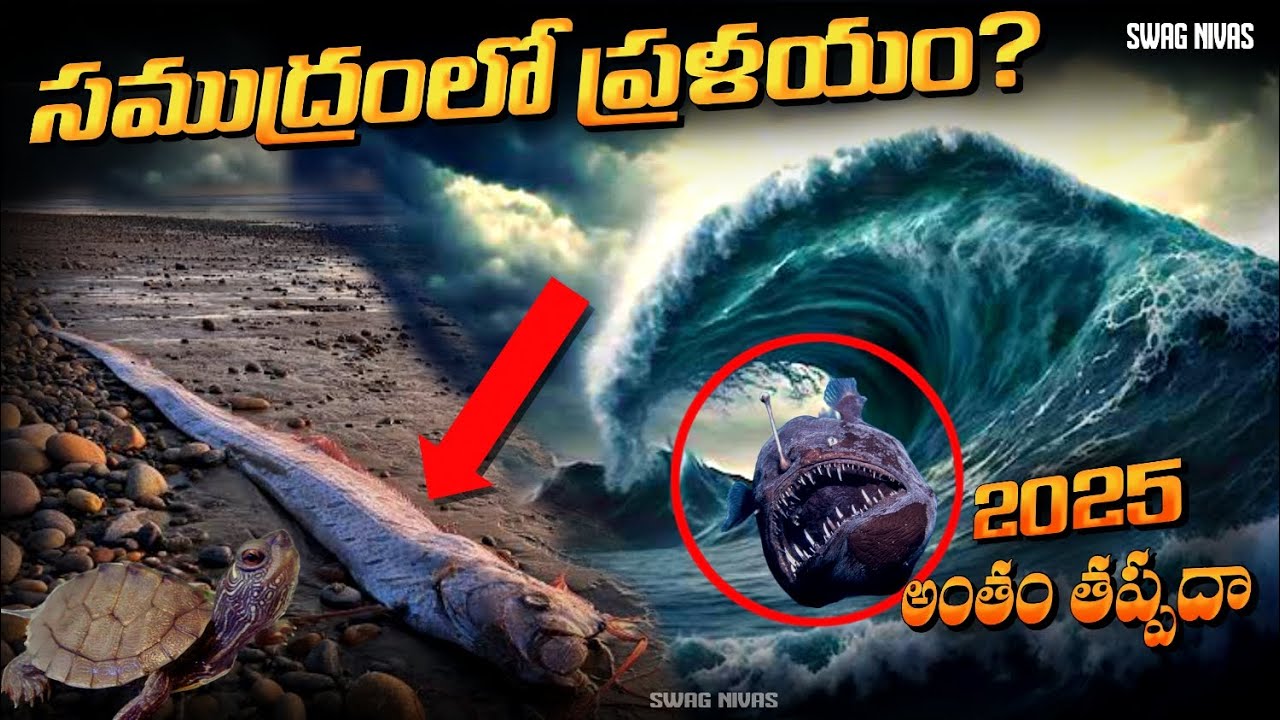 Oar fish full details explained in telugu | dooms day fish | facts in ...