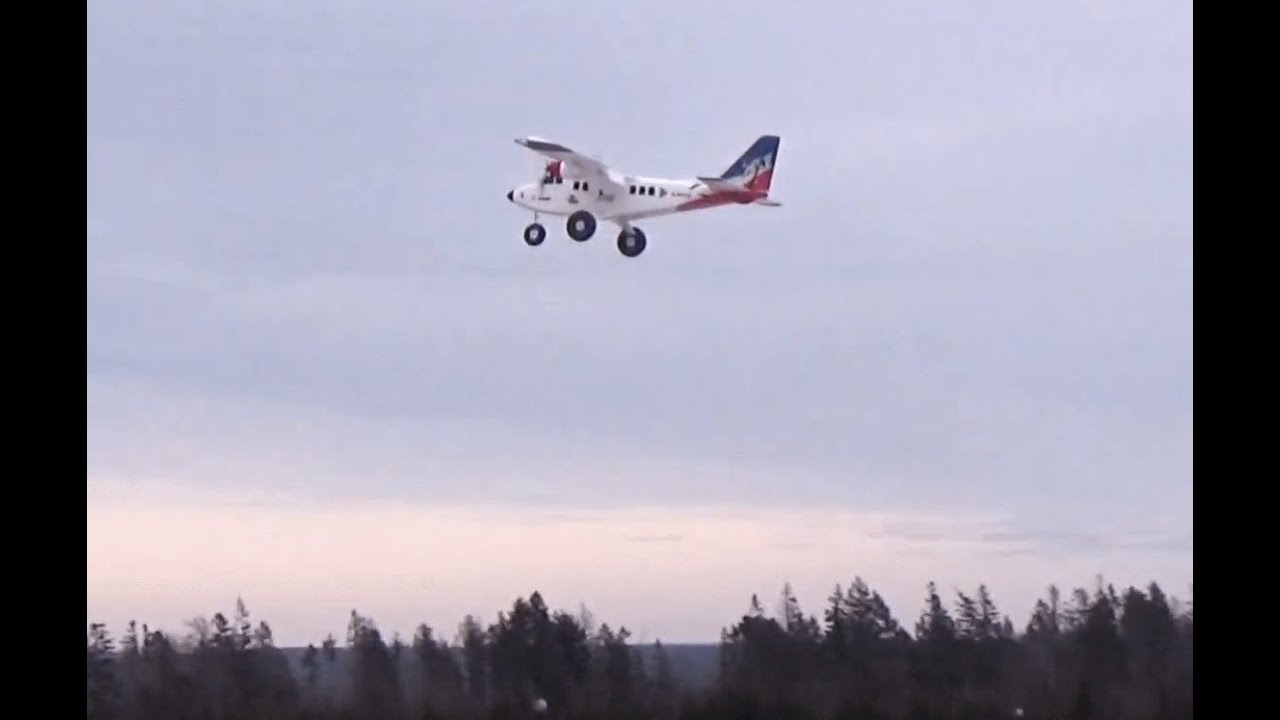 Avios Bush Mule March 2 2019 - YouTube