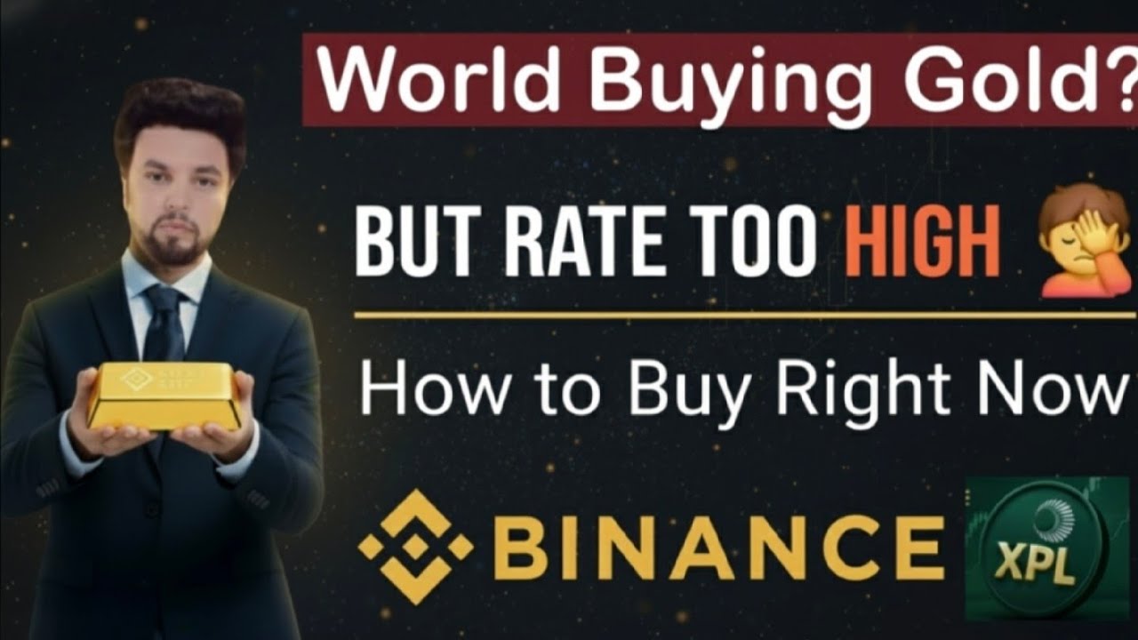 Crisis Hedge: PAXG Gold Strategy for 2025 on Binance | XPL Listing ...