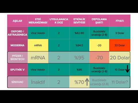 Sinovac mı? Biontech mi?