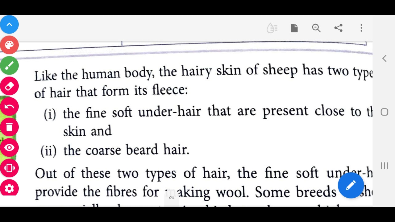 Chapter 3 Class 7 YouTube chapter-3-class-7-youtube