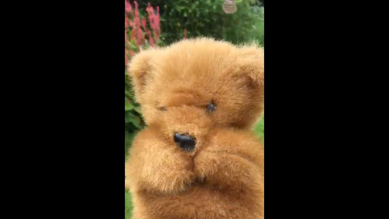 Adventures of Barney The Bear - Barney and friends do some stretching ...