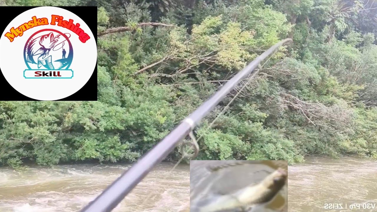 Kupli River fishing 🎣🎣🐟🐟🐬🥰 - YouTube