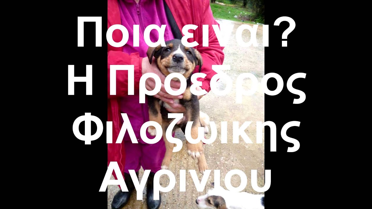 Φιλοζωικη Οργανωση Αγρινιου (Αποδειξεις 1) 2015 - YouTube