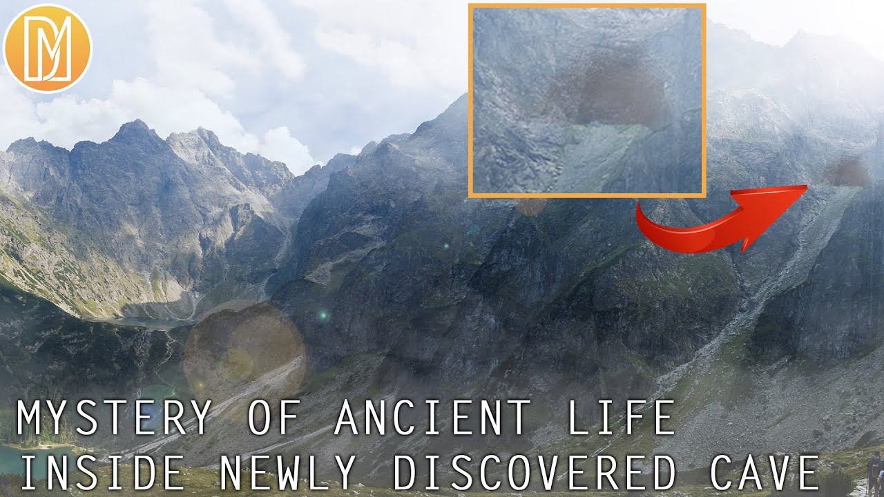 Signs of Extinct Human Species From Prehistoric Stone Tools Found in ...