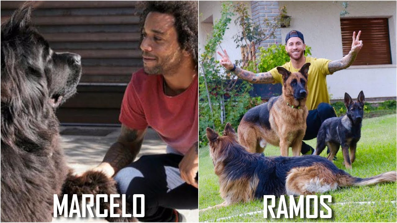 25 Famous Footballers And Their Dogs 🐶 Vote for The Best 👍 👎 - YouTube