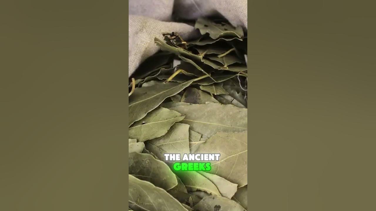 Manifest Your Desires with Bay Leaves! - YouTube