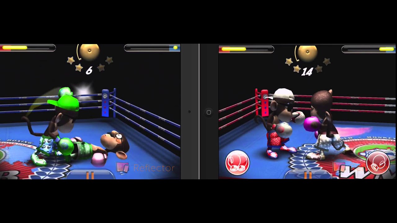 Tommy vs Teddy monkey boxing - YouTube