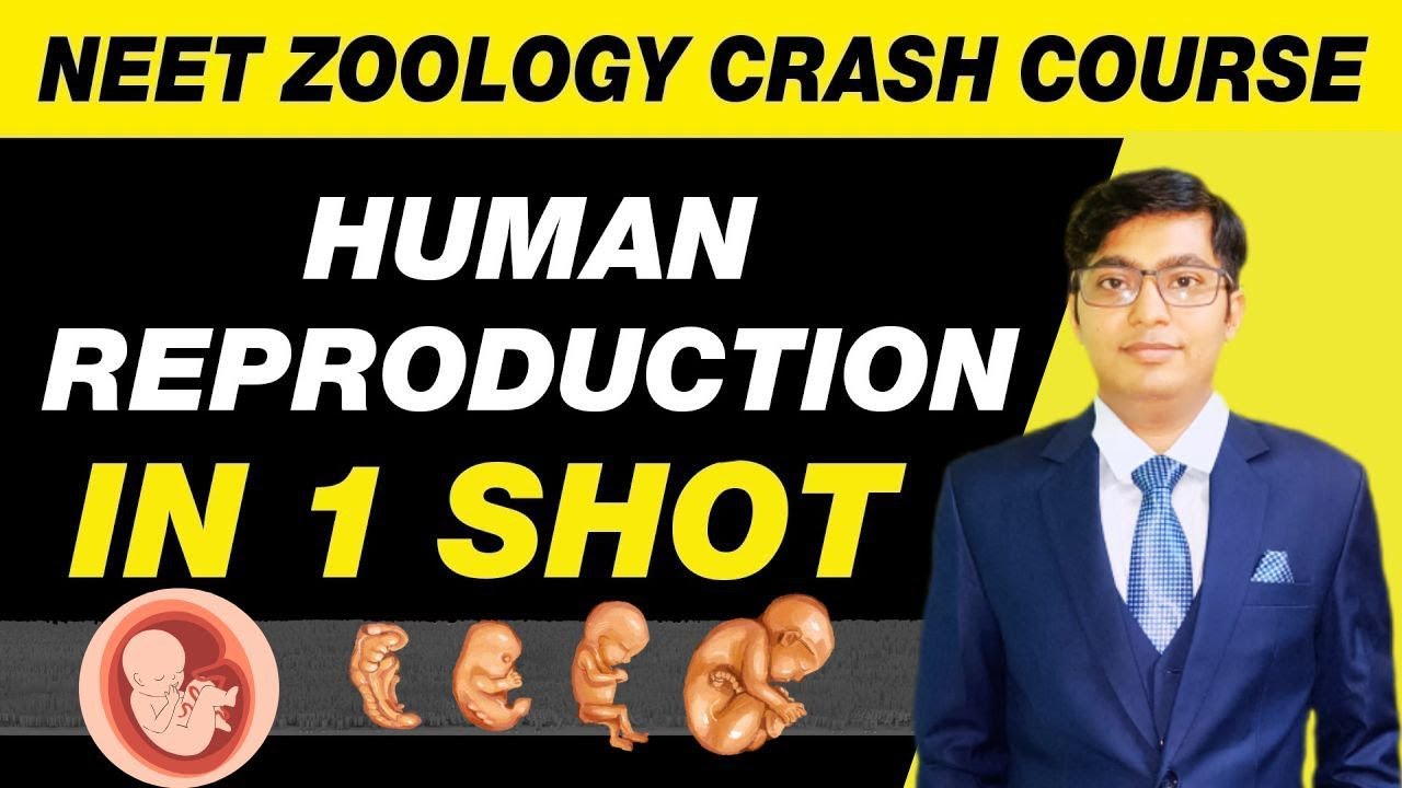 Human Reproduction One Shot Revision - Class 11 Biology for NEET ...