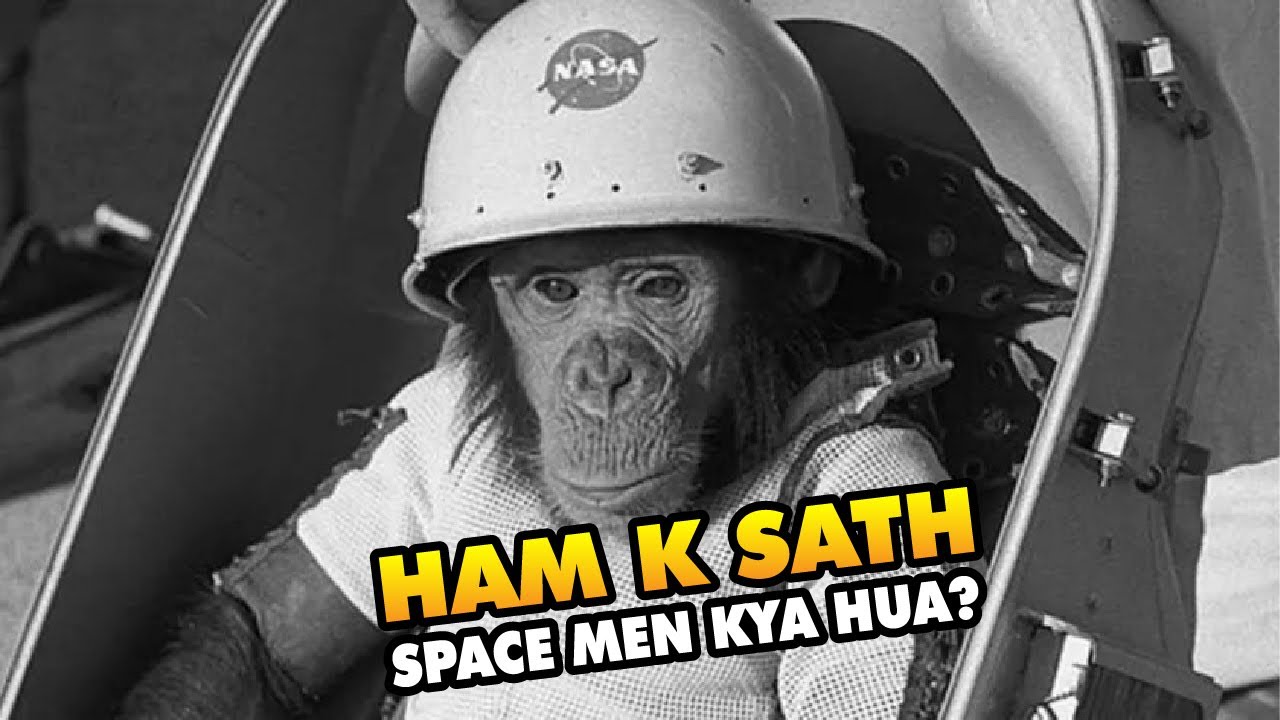 What Happened to Ham in Space? | Sad Story of Space Monkey Ham ...