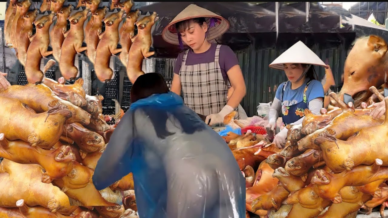 SHOCKING! The World's Largest Fresh Dog Meat Market Selling Dog Meat ...