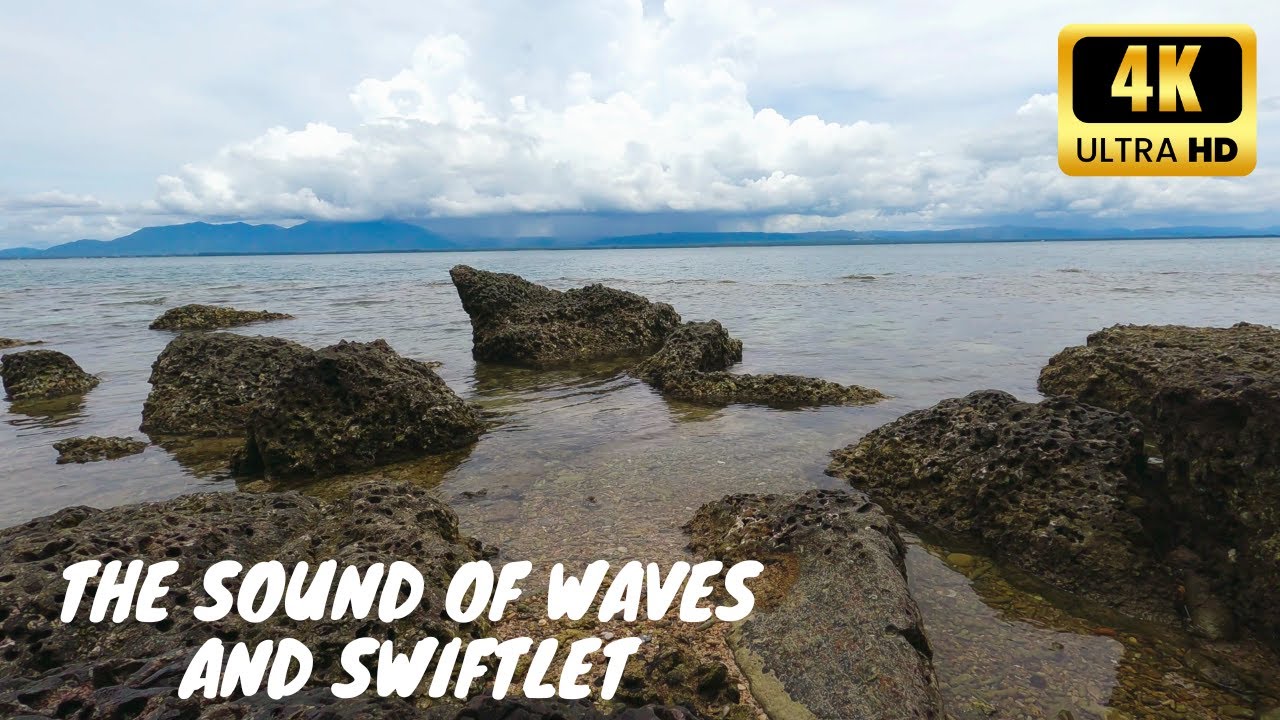 The sound of waves and swiftlet | ASMR | Sounds | Relaxation | Ambiance ...