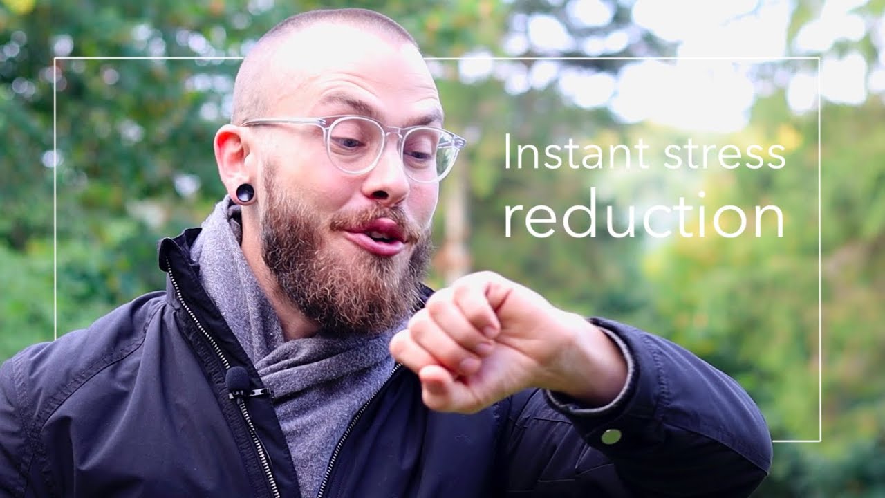 Instant stress reduction - YouTube