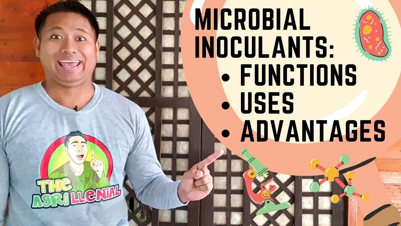 Microbial Inoculants: Functions, Uses and Advantages - YouTube