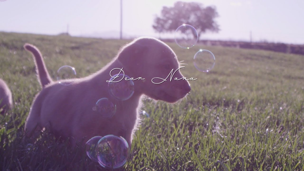 『Dear Nana 』親愛なるナナへ 自作曲 - YouTube