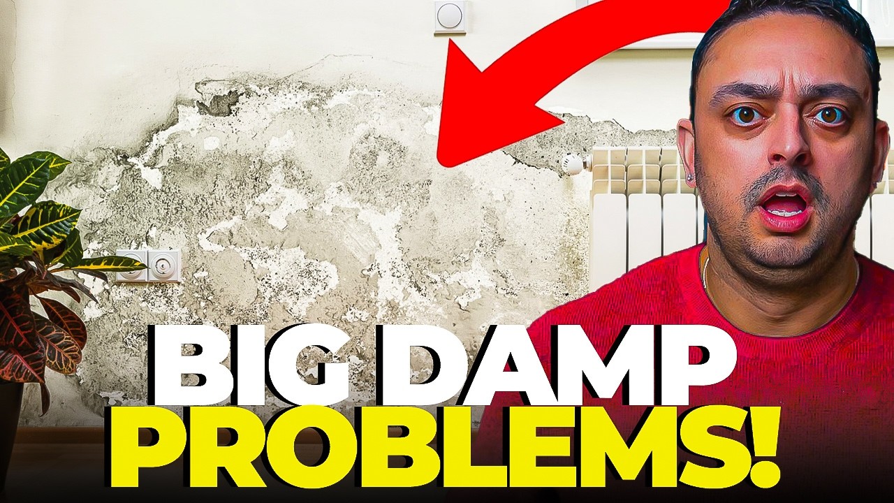 How to Deal With Damp & Mould In Properties | Tips From A Property ...