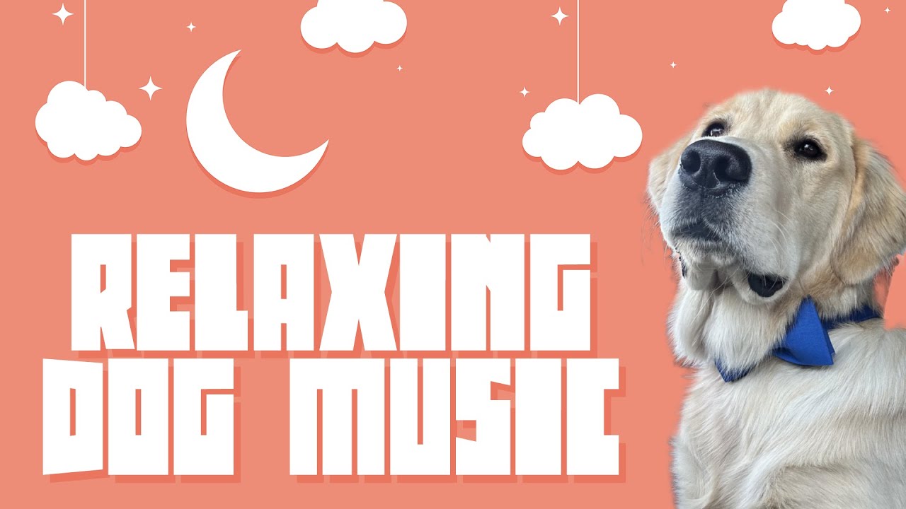 Relaxing Dog Music to Calm and Reduce Stress | Soothing Sounds for ...