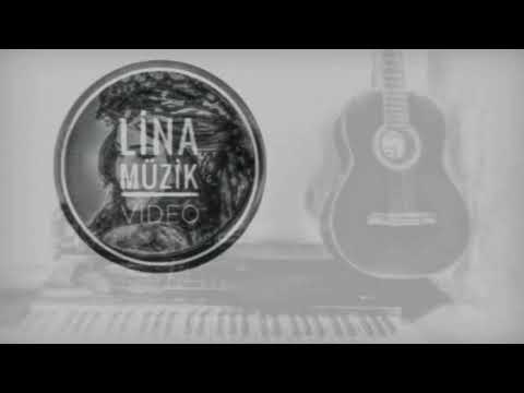 ERİK DALI DENEMESİ - KORG PA55TR - PİYANİST SEDAT