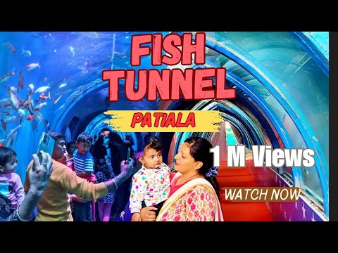 1st Largest 🐠Fish tunnel Aquarium in Patiala | Location New Patiala ...