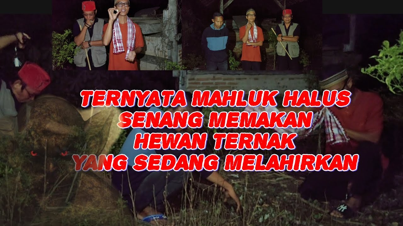 MAHLUK HALUS PEMAKAN TERNAK WARGA @DUNIAMISTIS-n9i - YouTube