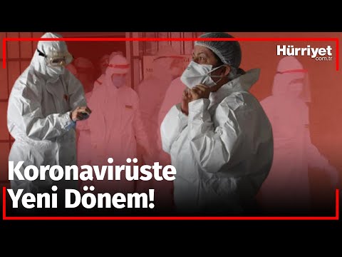 Algoritmalar Değişti! Virüs Salgınında Yeni Dönem Başladı