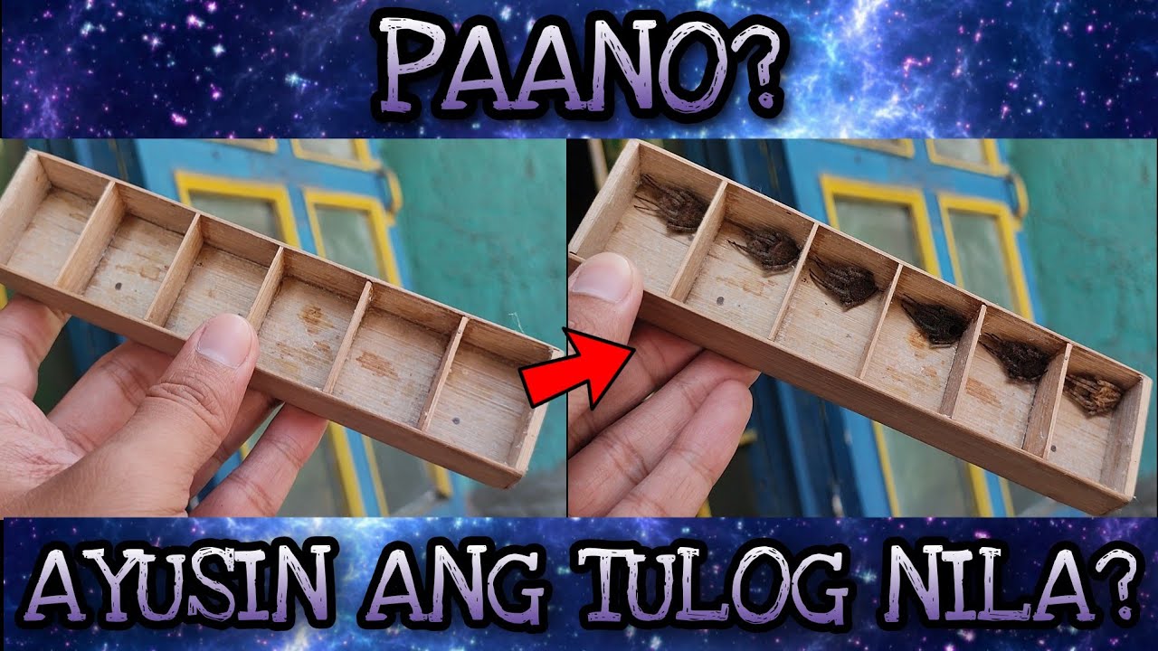 PAANO AYUSIN ANG TULOG NG GAGAMBA | YT VIDEO TO GALLERY - YouTube